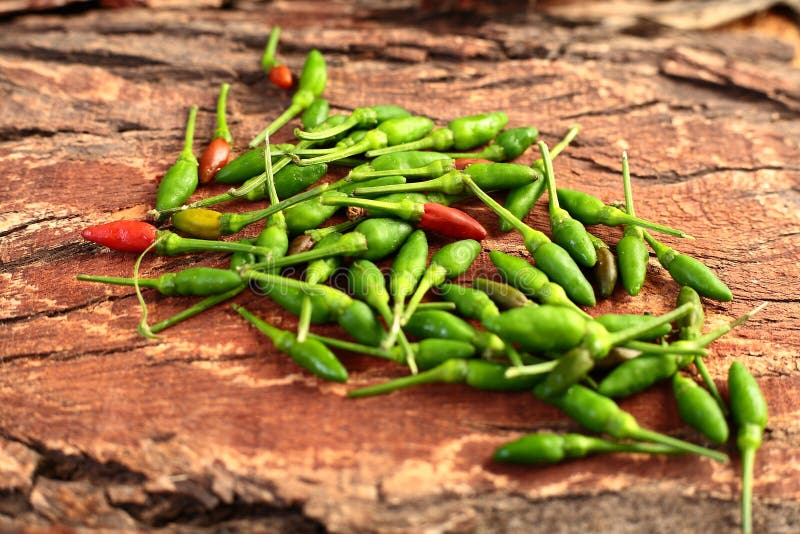 Bird s Eye Chili stock image. Image of closeup, rustic - 74679863