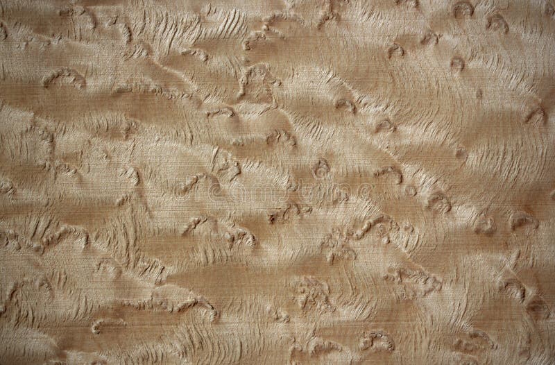 Bird S Eye Maple Wood Surface Stock Photo - Image of design, birdseye ...