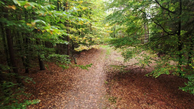 Bird S Eye View of a Beautiful Landscape Filled with Roads and Trees ...