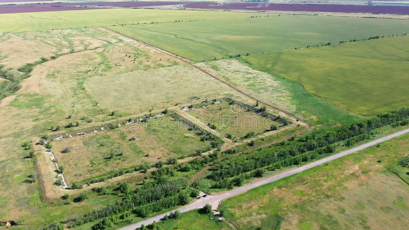 HD. Bird S Eye View of Green Fields in Summer Stock Video - Video of ...