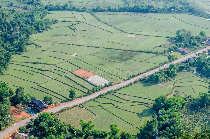 Bird S Eye View of the Meadows and Cornfield Stock Photo - Image of ...