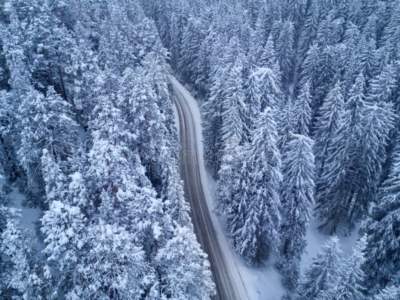 725 Winter Forest Bird's Eye View Stock Photos - Free & Royalty-Free ...