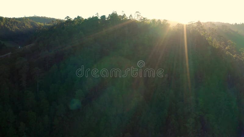 Bird S Eye View of a Slope of a Hill Covered with Trees with the Sun in ...