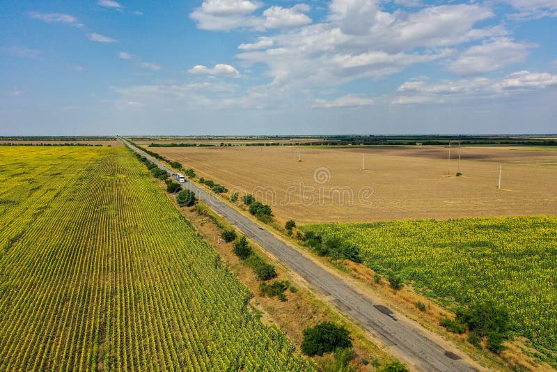 Birds Eye View of Sunflower Field Stock Image - Image of plain, flower ...