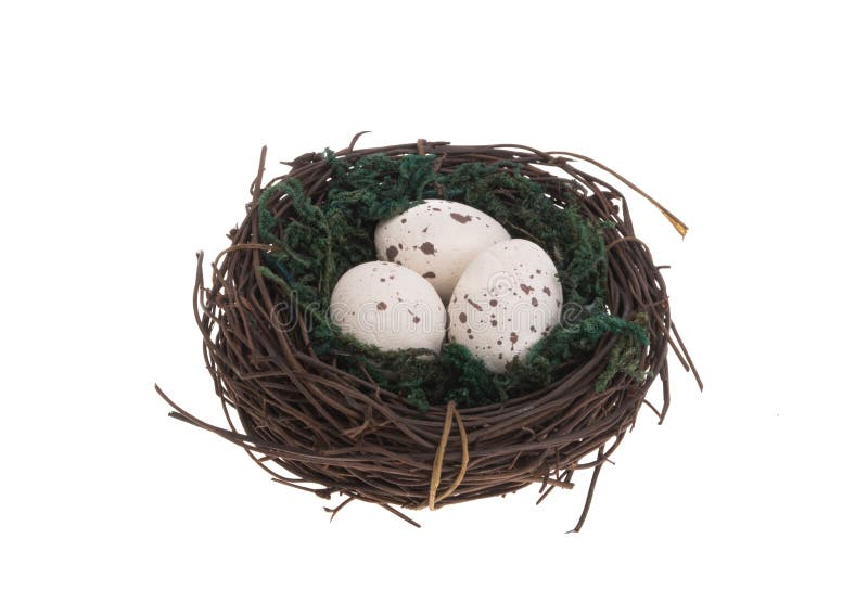 Bird S Nest with Eggs Isolated Stock Photo - Image of festive, bird ...