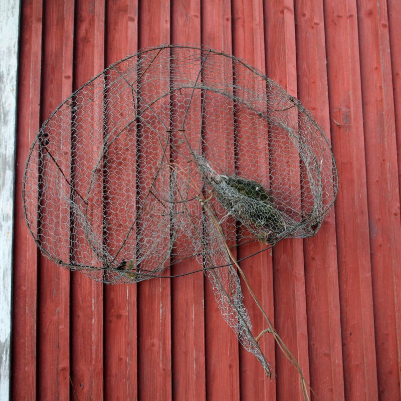 Bird s nest in fish trap stock photo. Image of wire, nests - 67192730
