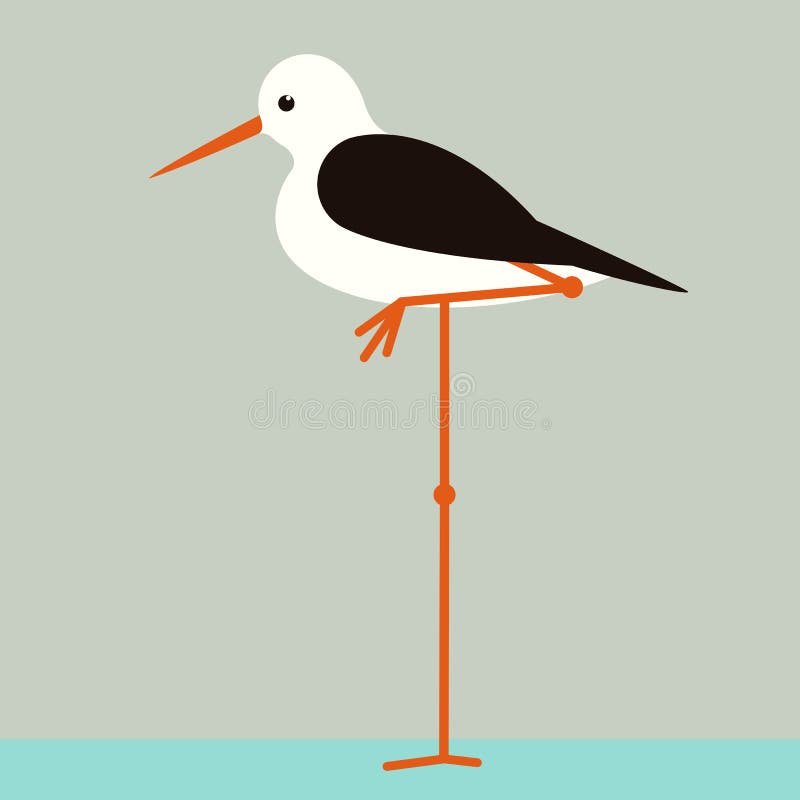Bird Sandpiper,vector Illustration ,flat Style Stock Vector ...