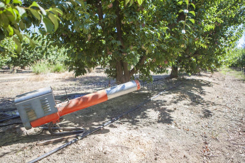 Bird Scarer Machine Placed between Plum Trees Stock Photo - Image of ...
