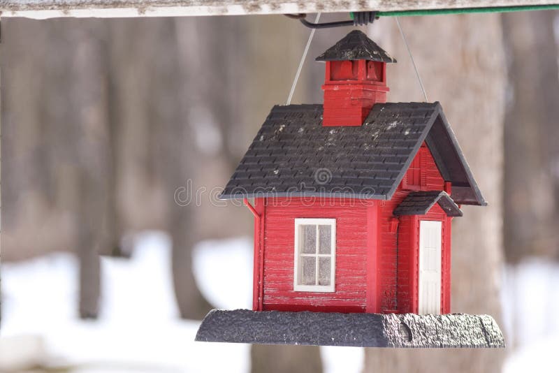 Bird School stock photo. Image of nature, shelter, close - 92982898