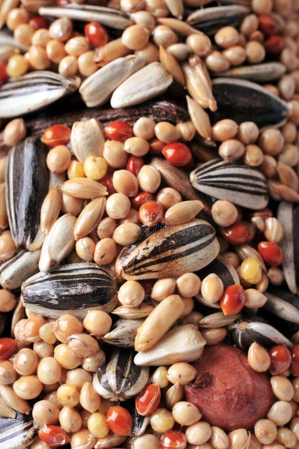 Bird seed in bag stock photo. Image of farming, bird, macro - 2447340