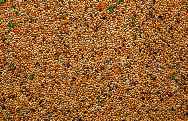 Bird Seed Background stock photo. Image of background - 87353934