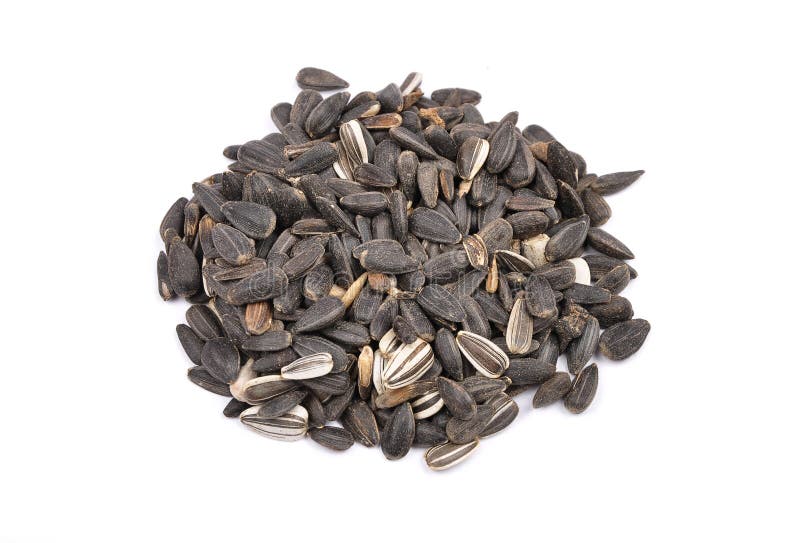 Bird seed stock photo. Image of winter, bird, white, birds - 56682984