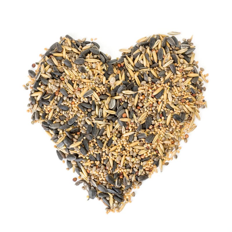 Bird seed heart stock image. Image of corn, isolated - 37413499