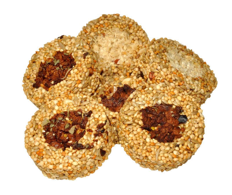 Bird Seed Ring Treats stock image. Image of treat, rings - 32963565