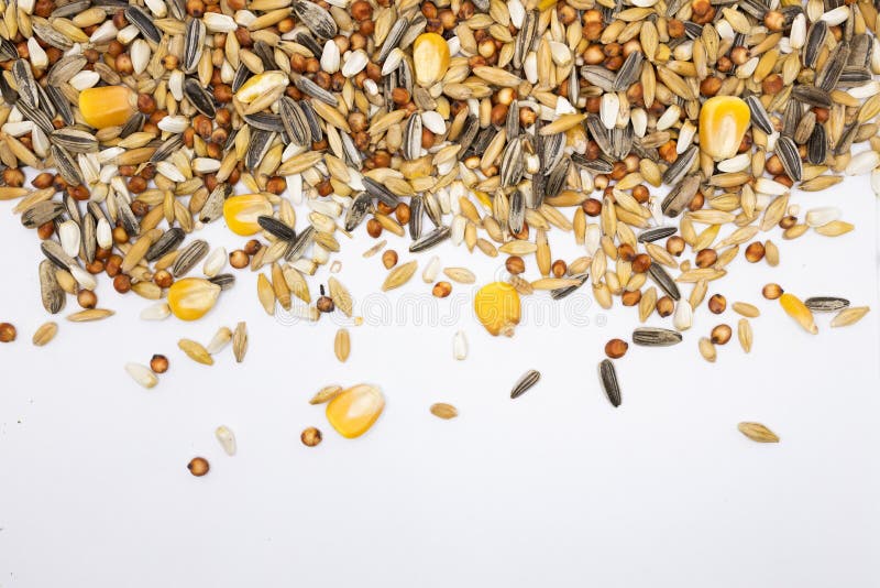 Bird Seed on a White Background Stock Image - Image of copy, mixture ...