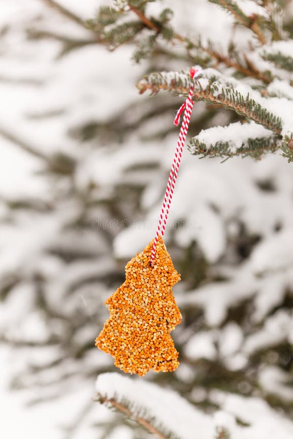 Bird seeds stock image. Image of food, ribbon, nutty - 28974675