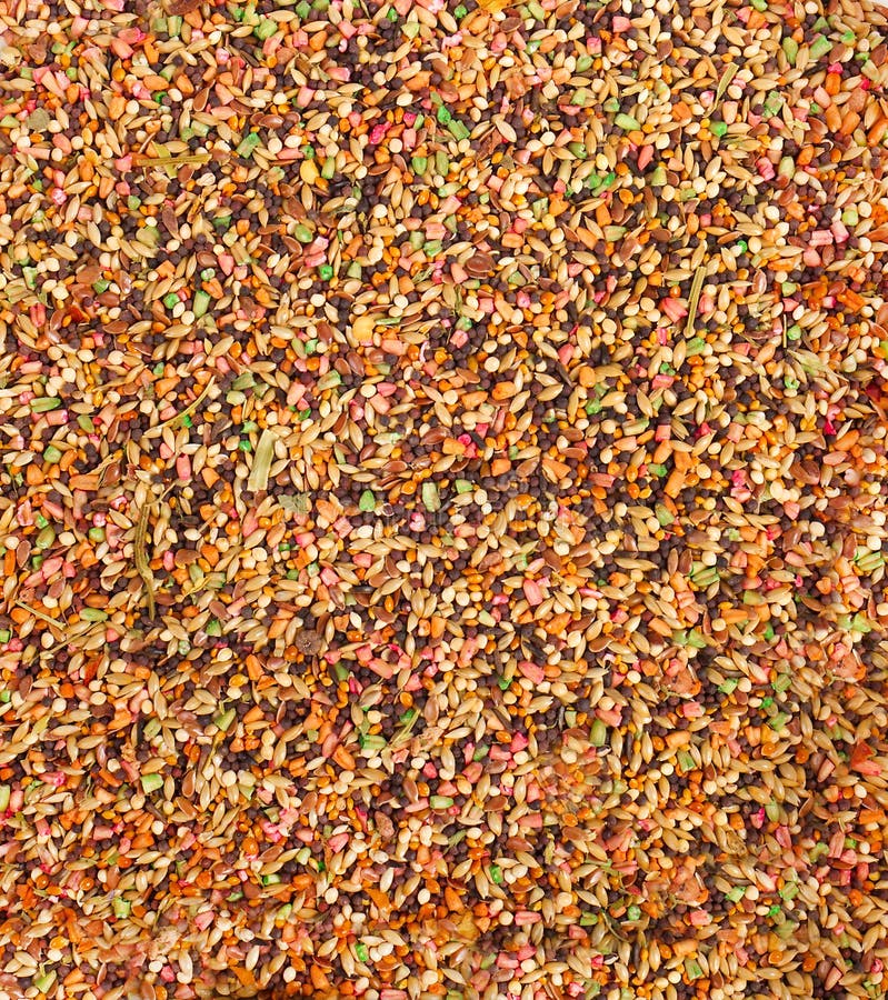 Bird Seeds Background stock photo. Image of details - 156238072