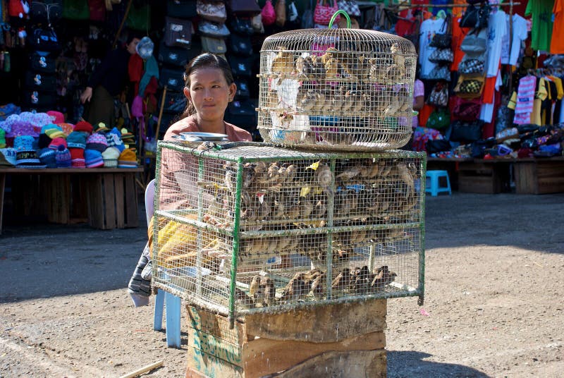 Bird seller editorial image. Image of minorities, faith - 25799805