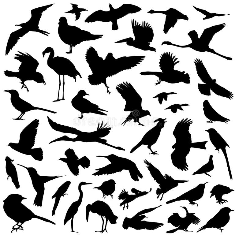 Solid Bird Shape Stock Illustrations – 1,427 Solid Bird Shape Stock ...