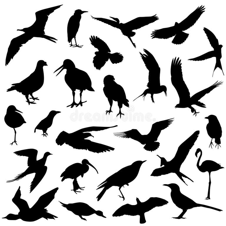 Solid Bird Shape Stock Illustrations – 1,427 Solid Bird Shape Stock ...