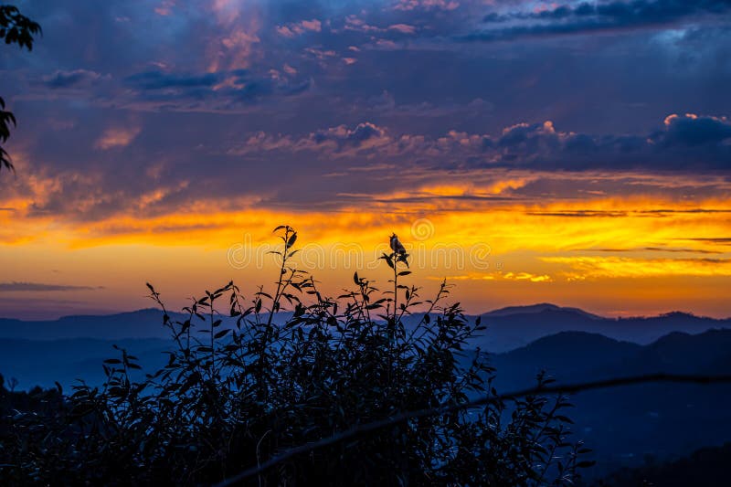 A Bird Setting on Tree Against Cloud Sky Beautiful Sunset Presenting a Dramatic View Stock Image ...