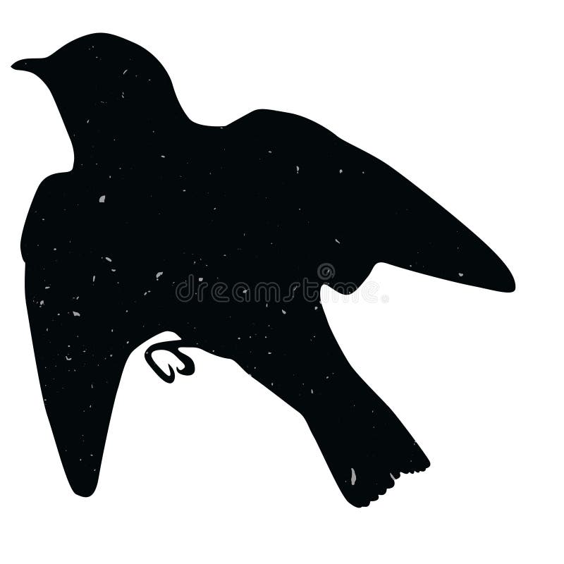 Bird Shadow Animal Icon Silhouettes Isolated on Dark Black Graphical in ...