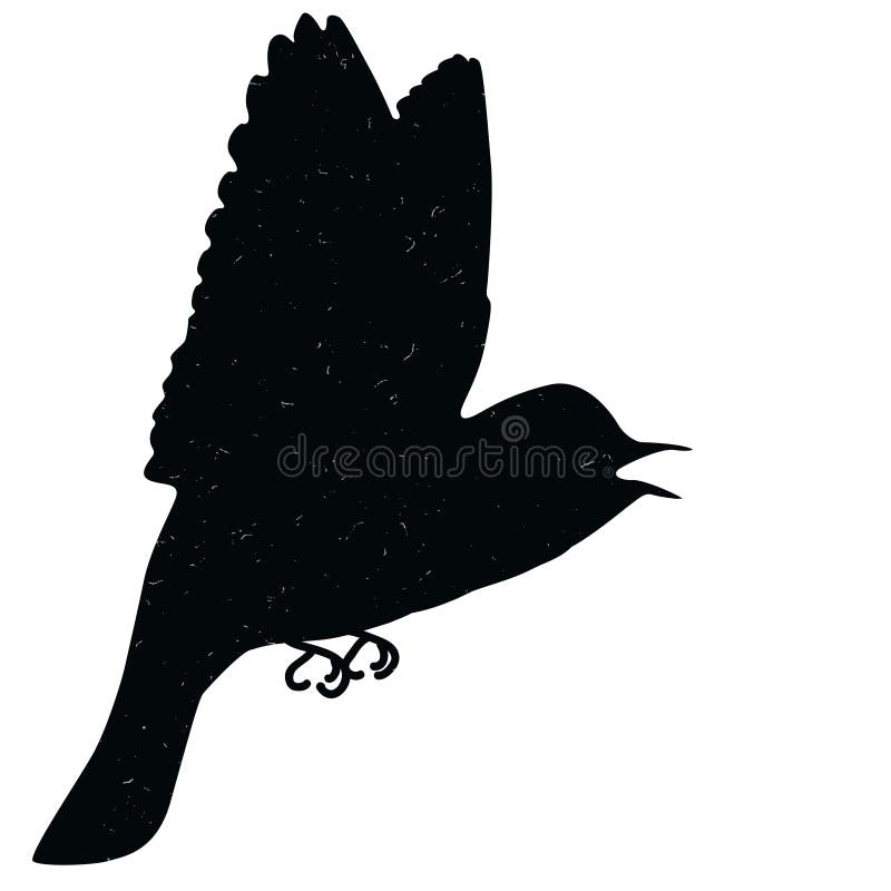 Bird Shadow Animal Icon Silhouettes Isolated on Dark Black Graphical in ...
