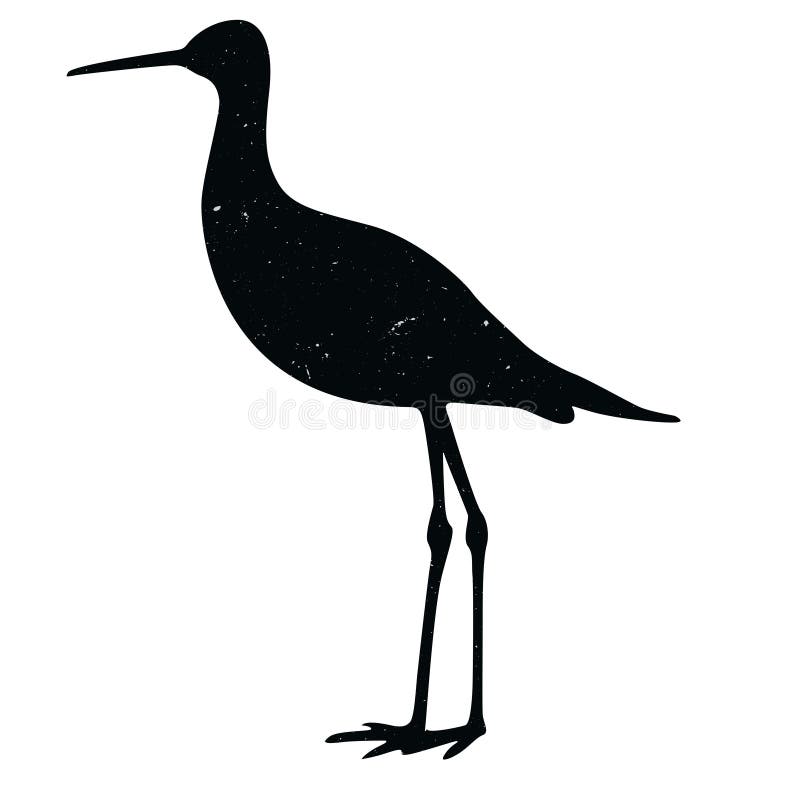 Bird Shadow Animal Icon Silhouettes Isolated on Dark Black Graphical in ...