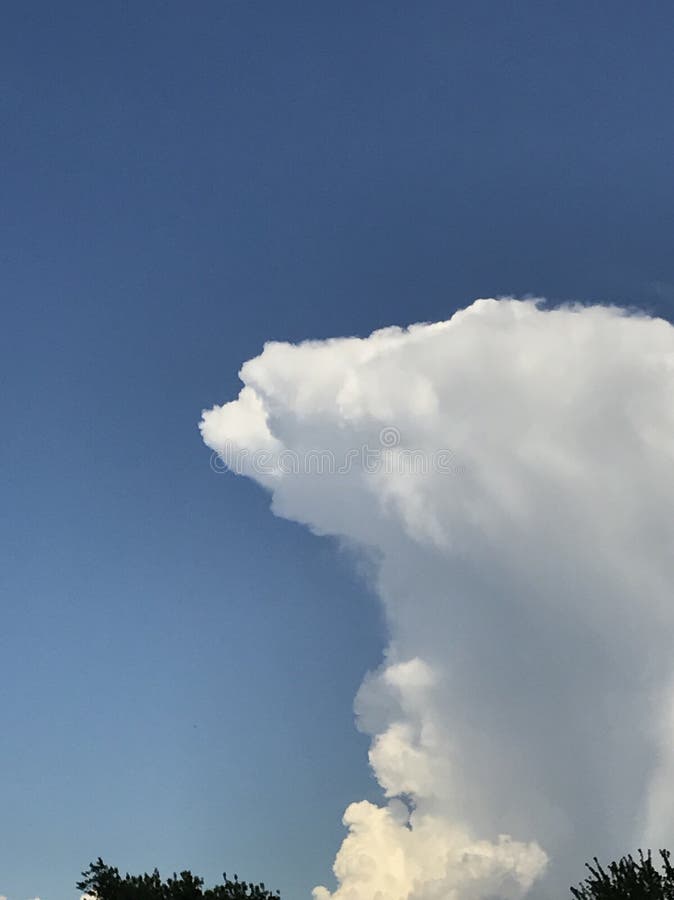 Bird shaped cloud stock image. Image of bird, shaped - 107334621