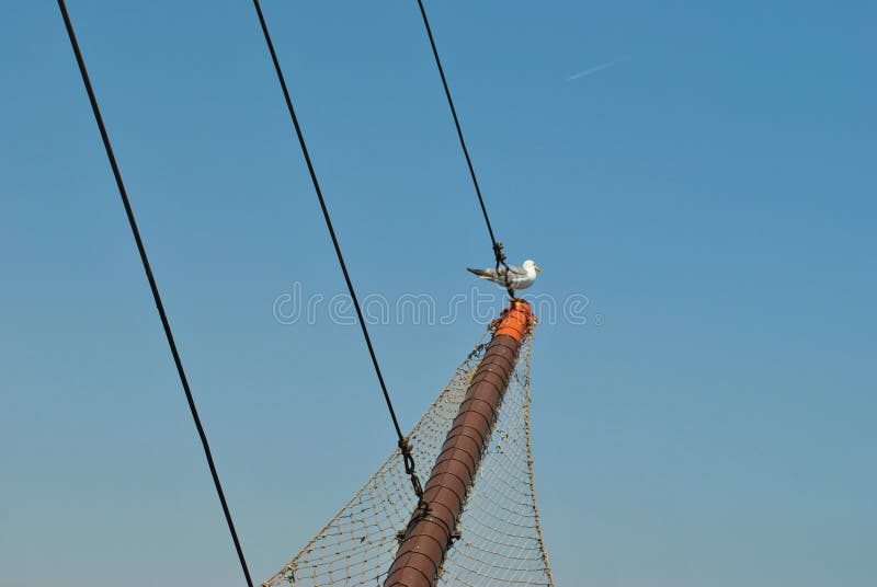 The bird on the ship stock image. Image of nautical - 121649837