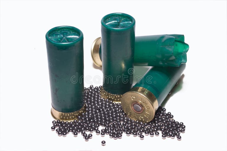 Bird shot stock image. Image of bullet, hurt, fifle, fire - 4354463