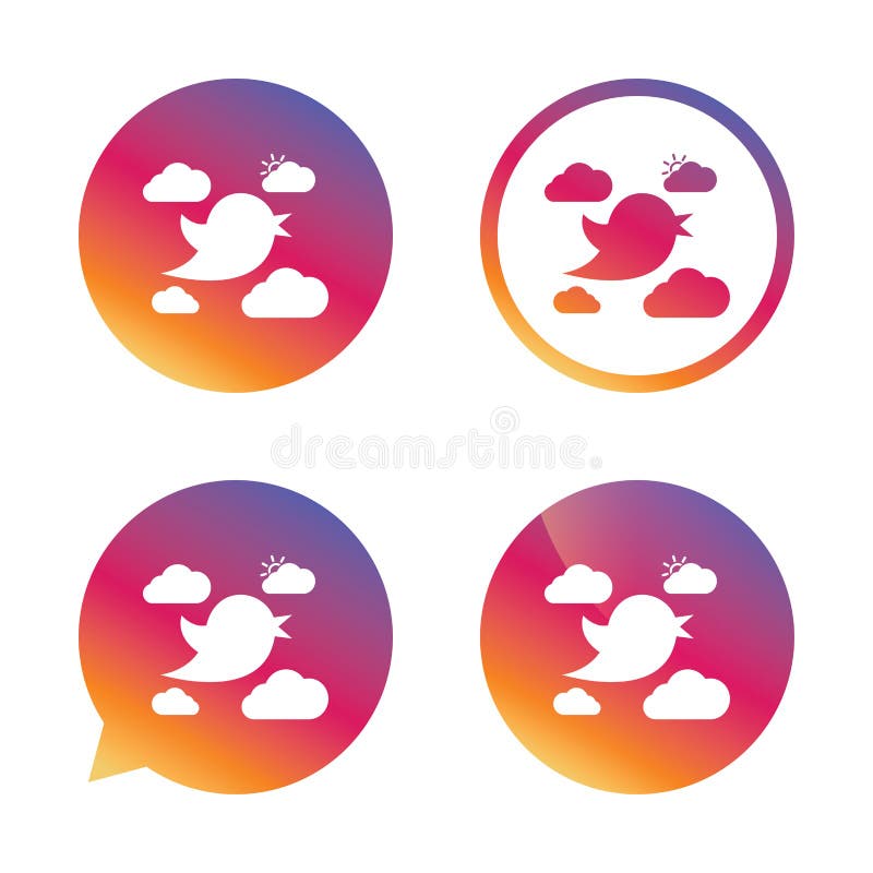 Bird Sign Icon. Social Media Symbol. Stock Vector - Illustration of ...