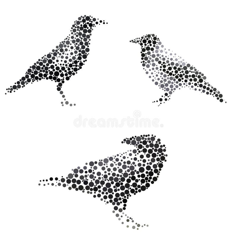 32+ Bird circle wings Free Stock Photos - StockFreeImages