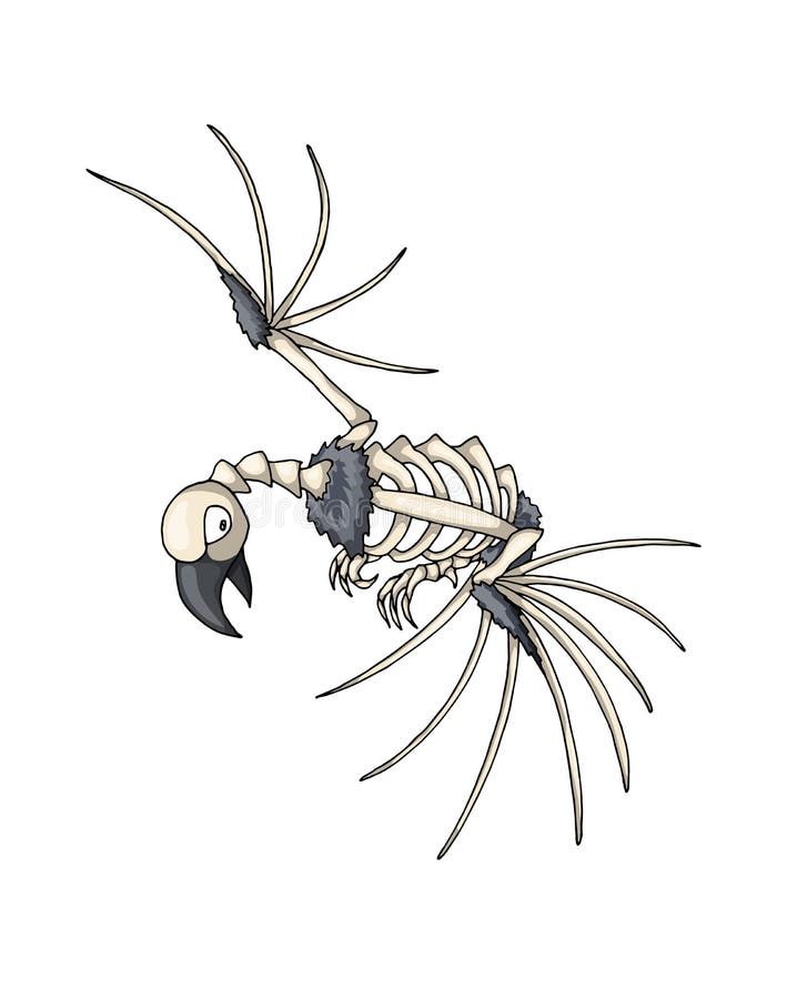 Archeopteryx Fossil Stock Illustrations – 10 Archeopteryx Fossil Stock ... Archeopteryx Fossil Stock Illustrations – 10 Archeopteryx Fossil Stock ...