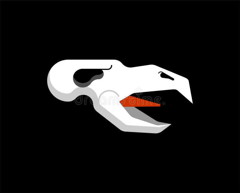 Bird Skull. Head of Crow Skeleton Stock Vector - Illustration of dark ...