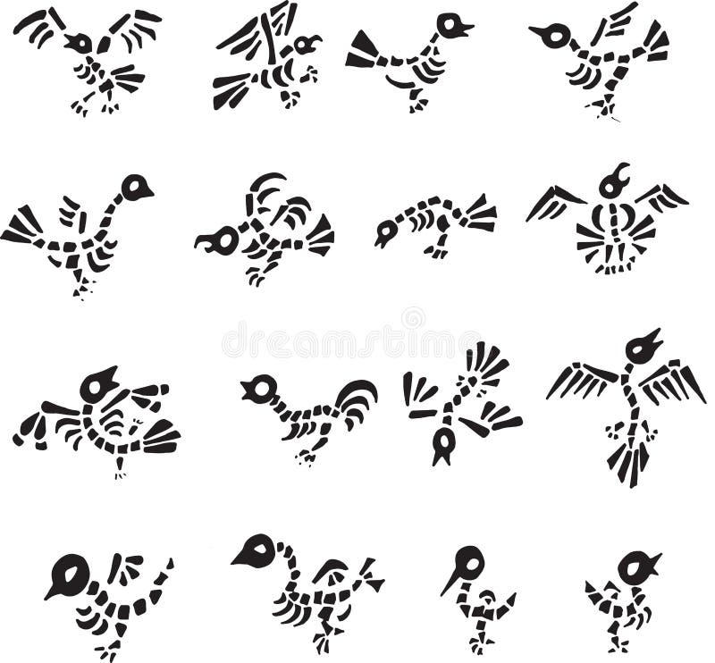 Bird Skulls and Skeleton Vector Illustration Stock Vector ...