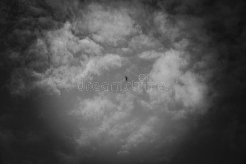 Bird Soaring in the Black and White Sky Stock Image - Image of black ...
