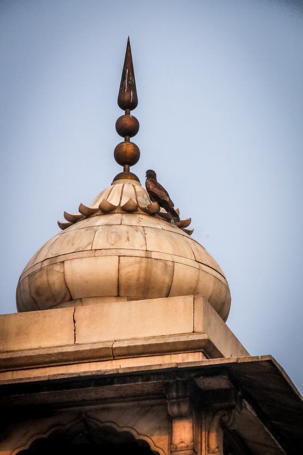 Bird on a Spire of Red Fort, Delhi - India Stock Image - Image of ...