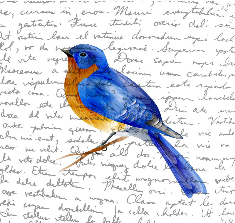 Bird of Spring vector stock vector. Illustration of cute - 87824308