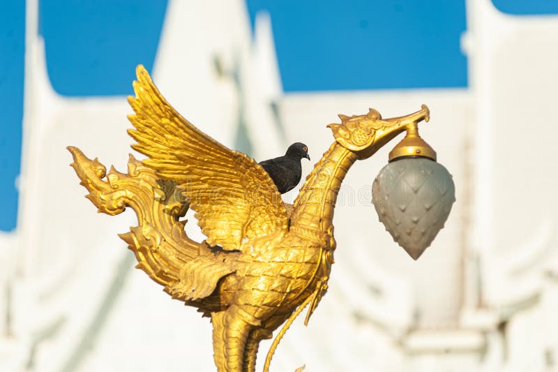 Bird on the statue stock image. Image of bird, statue - 221349799