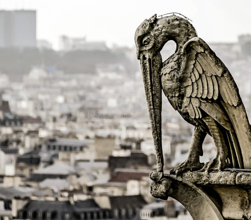A Man Sits on a Ledge Overlooking an Ancient City, AI Stock Image ...