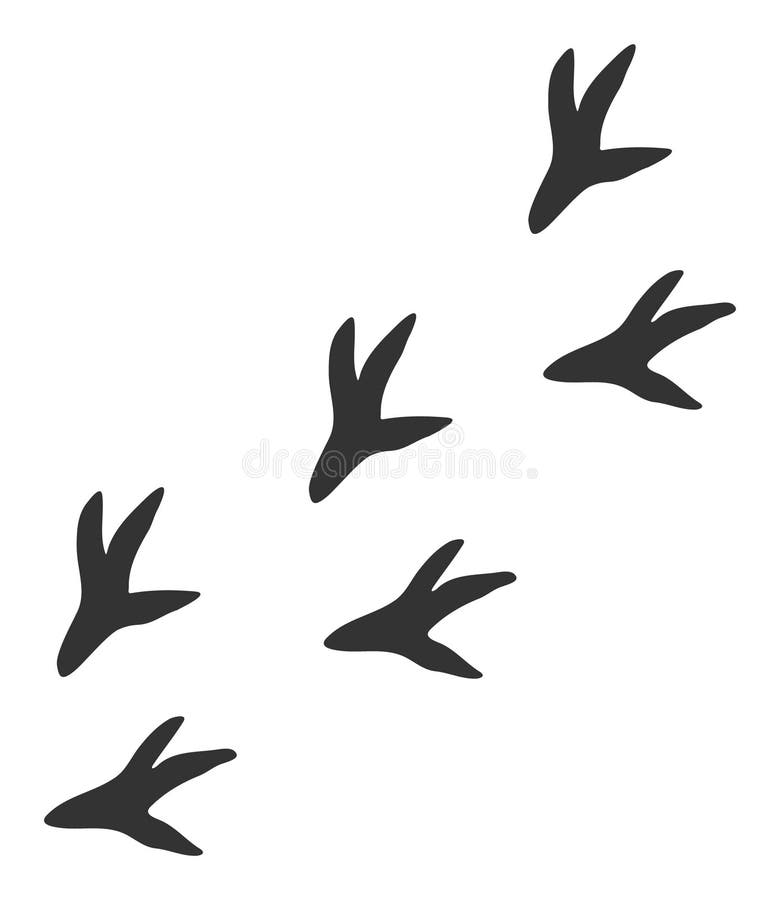 Bird Steps Stock Illustrations – 662 Bird Steps Stock Illustrations ...
