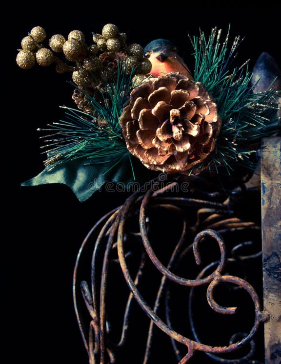 Bird Still Life stock image. Image of needles, evergreen - 22738509