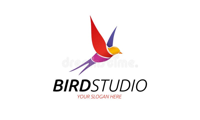 Bird Studio Logo stock vector. Illustration of modern - 92729257