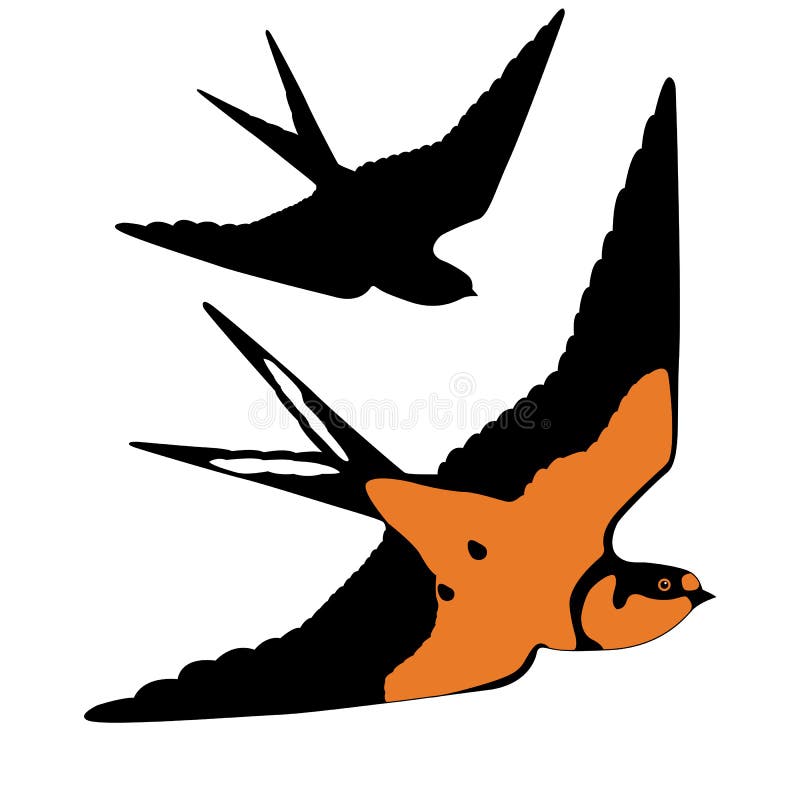 Bird Swallow Realistic Black Silhouette Stock Vector - Illustration of ...