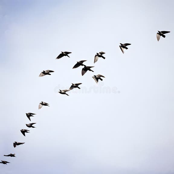 A Bird Swarm Flyes on Sky, AI-generated Stock Illustration ...