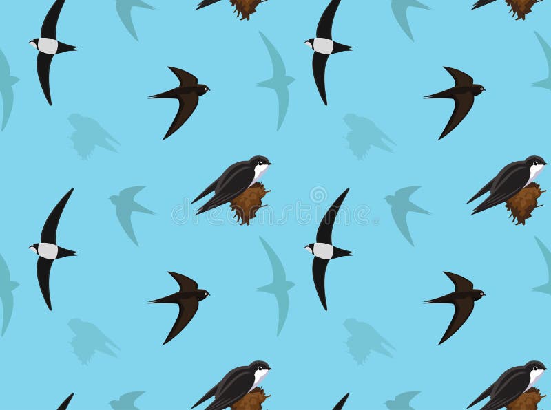 Bird Swift Set Cartoon Vector Illustration Stock Vector - Illustration ...
