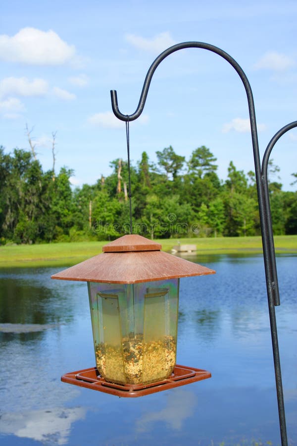 Bird table stock photo. Image of hanging, precious, bright - 2776368