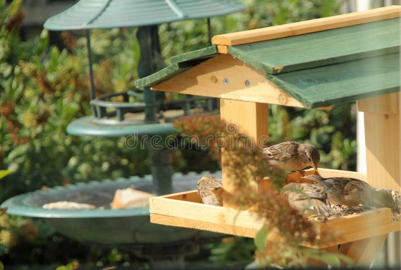 Bird Table stock photo. Image of industry, minute, table - 77296032