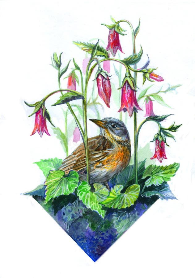 Bird thrush flowers stock illustration. Illustration of handmade ...